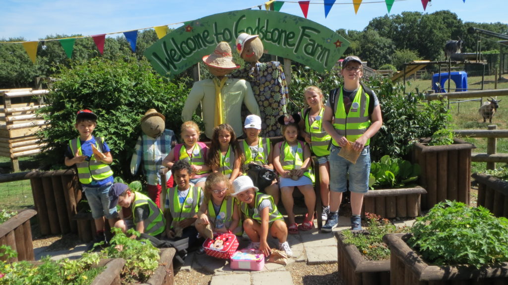 Home - SEAPIA (Sands End Associated Projects In Action)